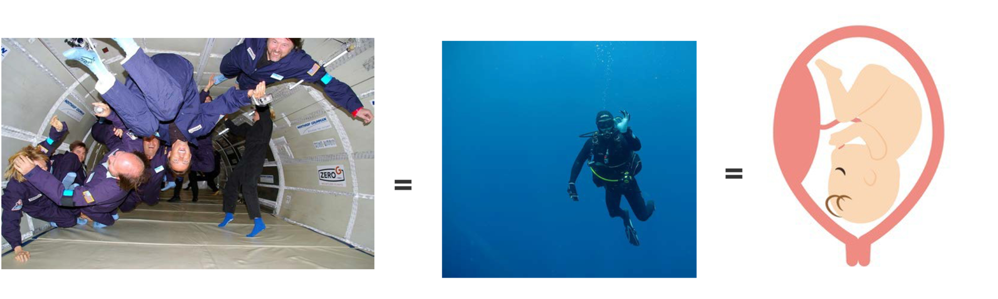 Zero Gravity Art – Naoko Tosa – EXPO2025